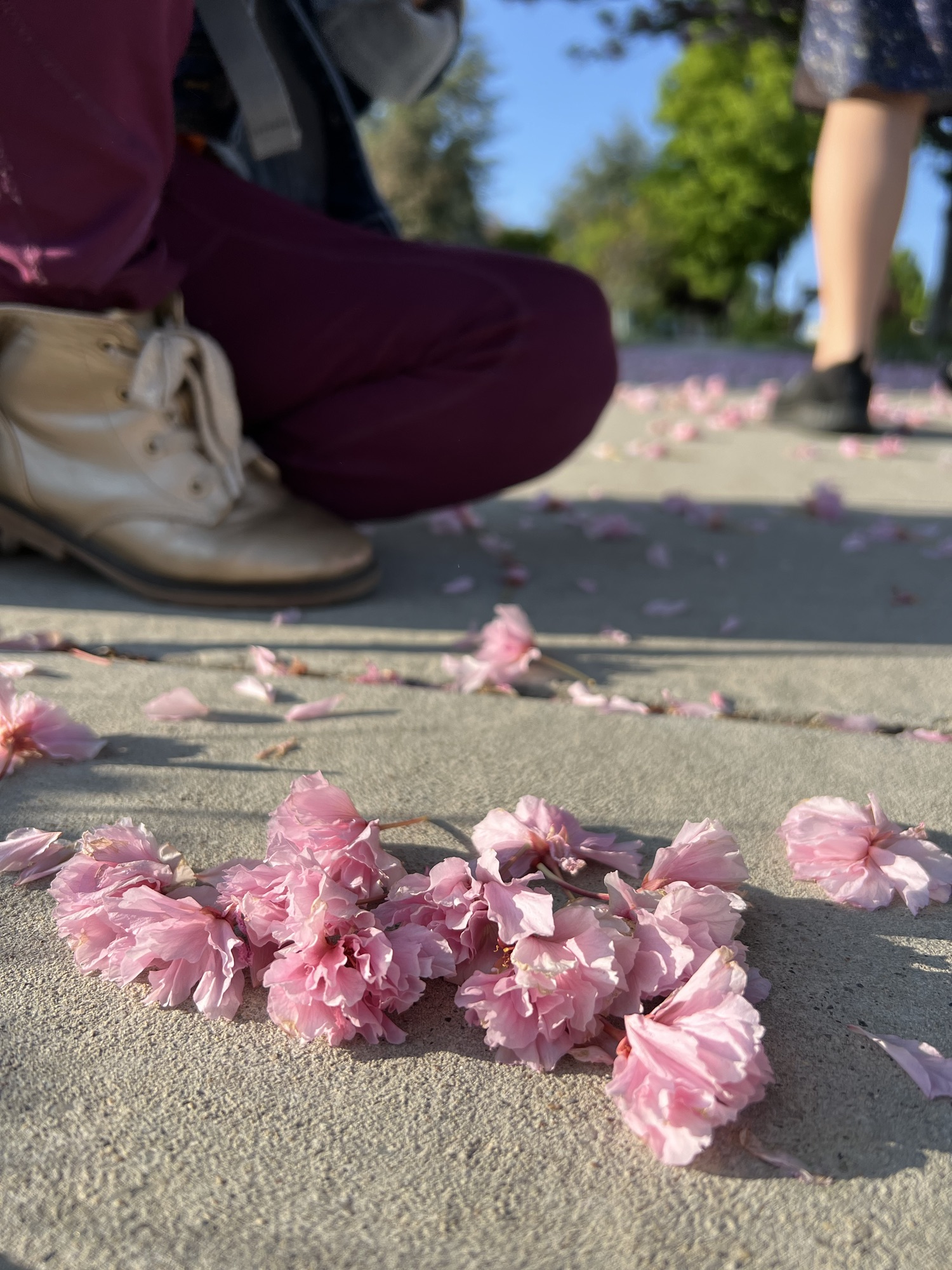 Coaching – Contemplating Life’s Choices